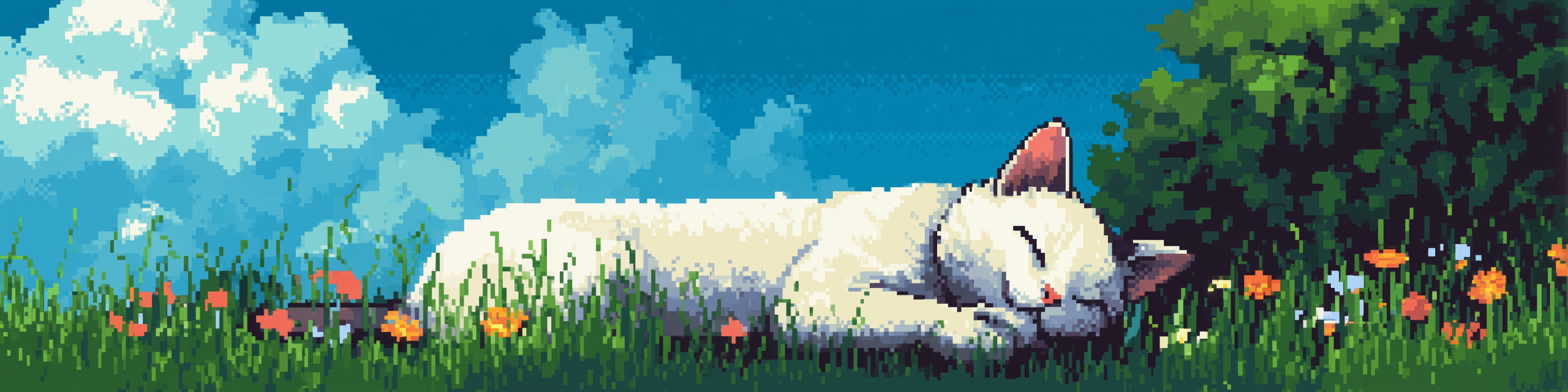 Moggy Daycare Update: Availability & Registration Changes